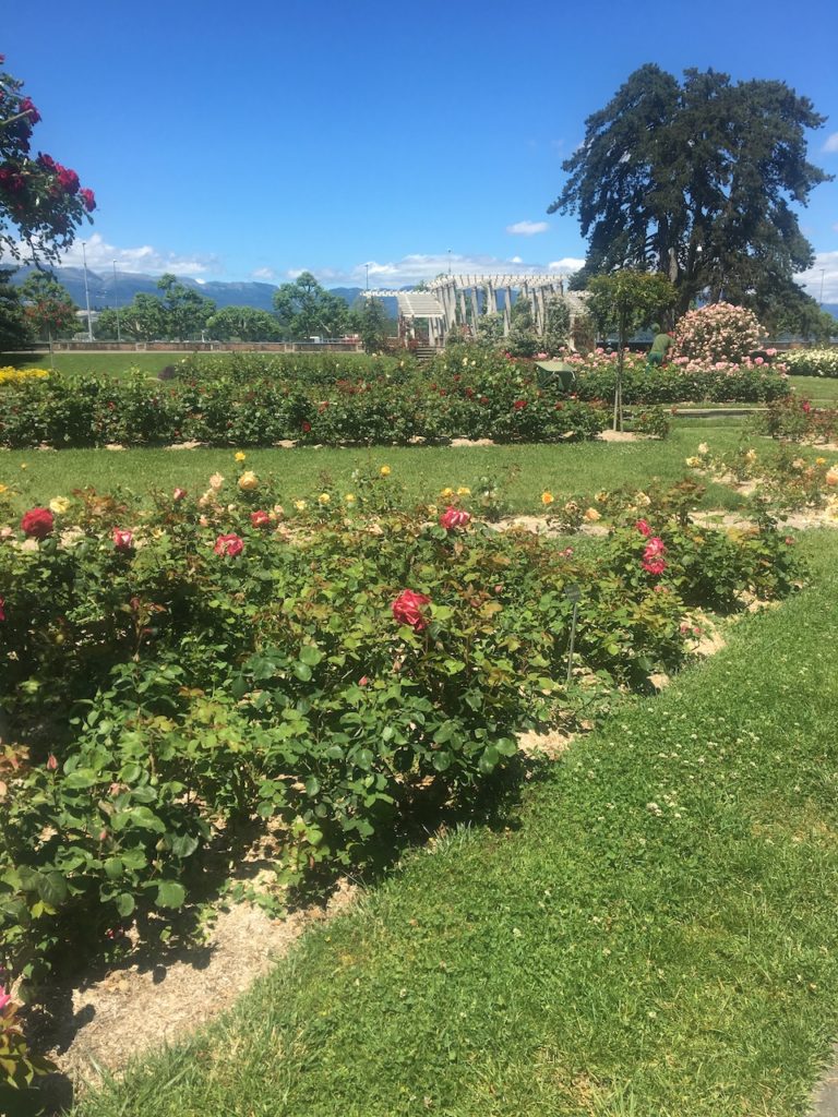 Le parc La Grange...à Genève - Geneve-en-zigzag